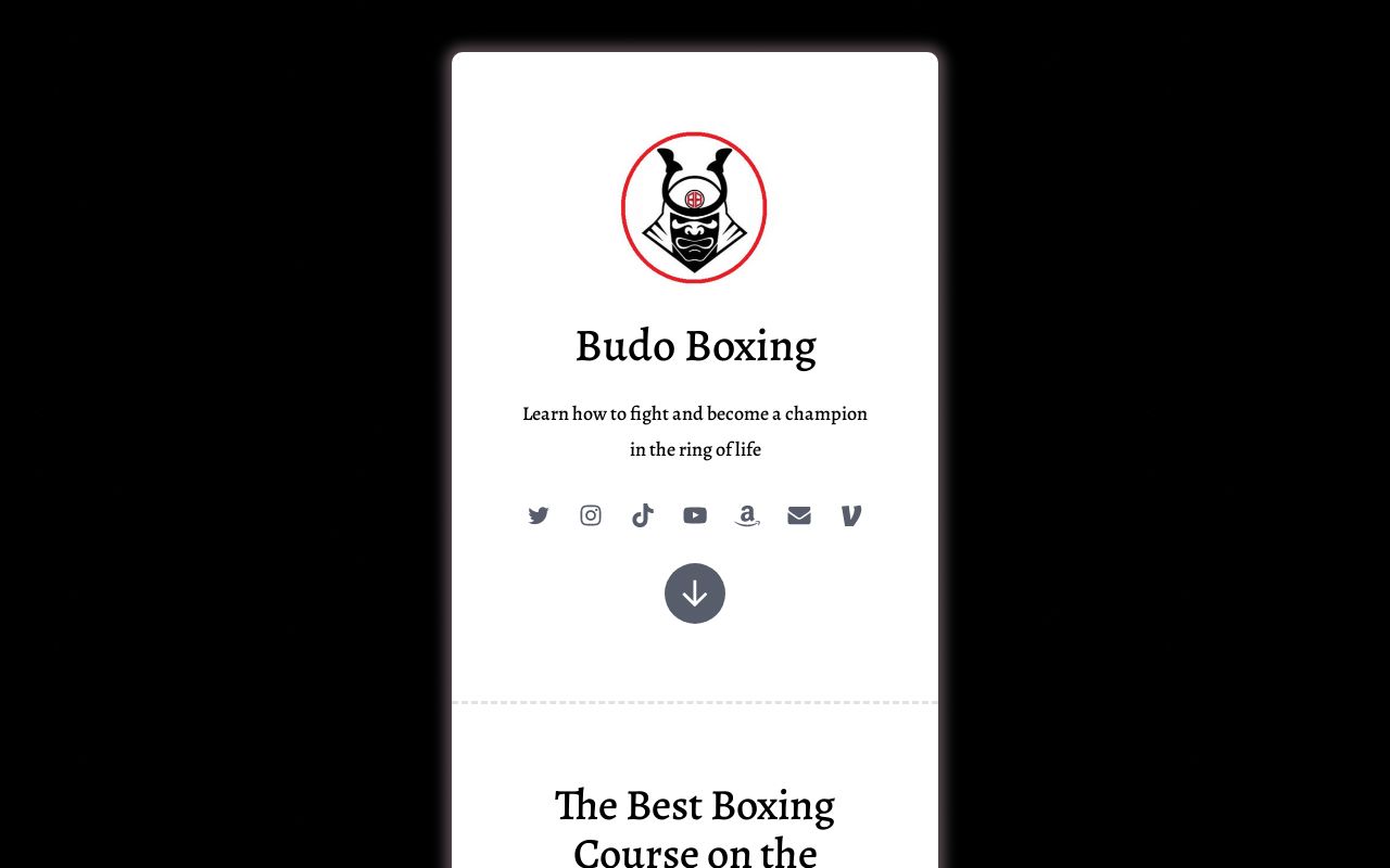 Budo Boxing